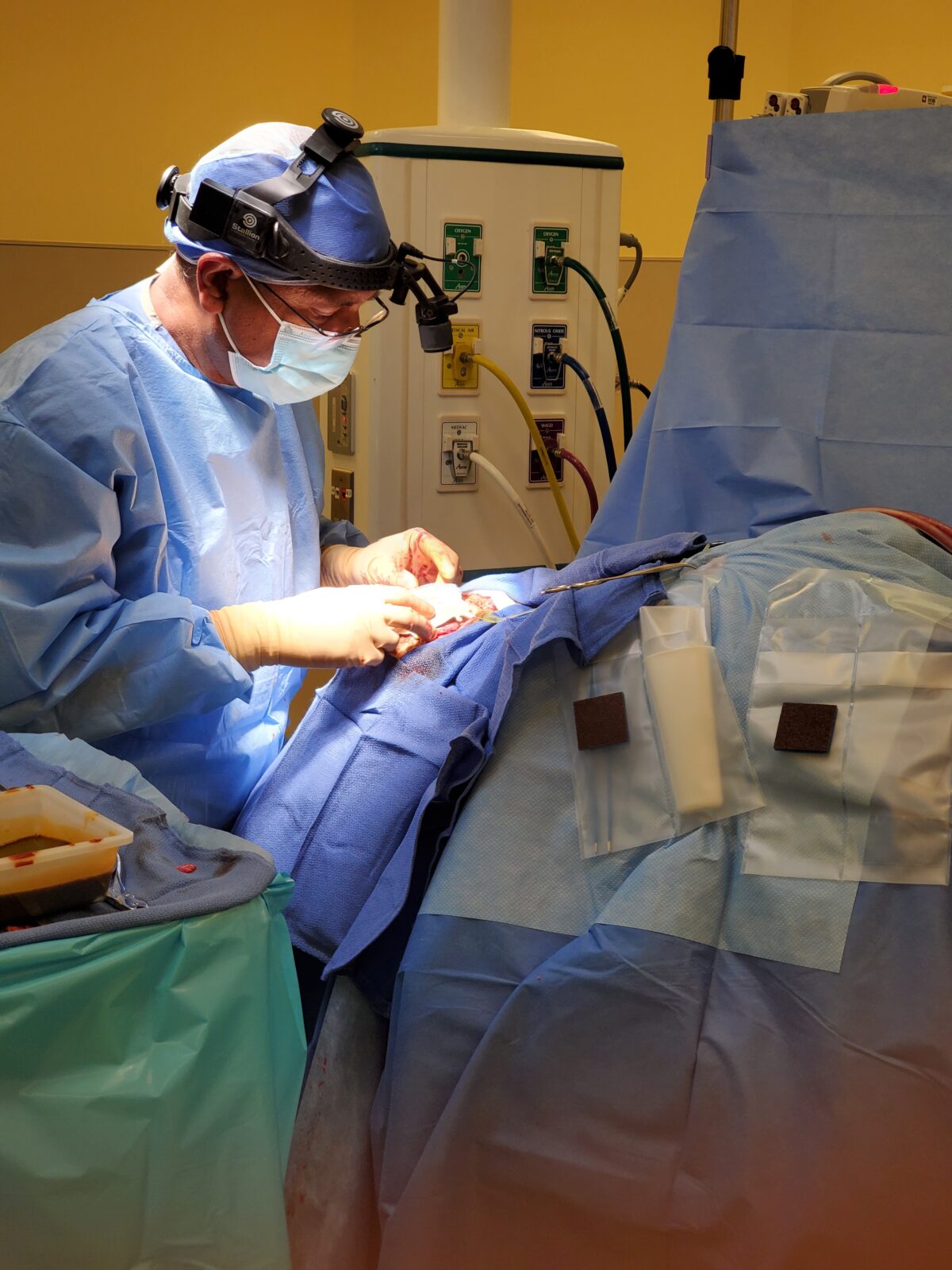 Comprehensive Spine & Neurological Care | Michigan Spine Specialists